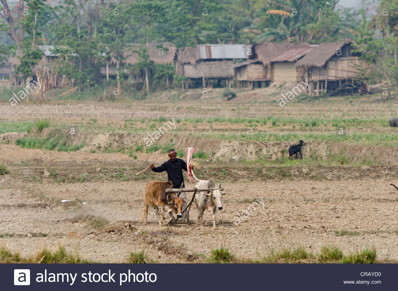 [34+] Assam Wallpapers | WallpaperSafari