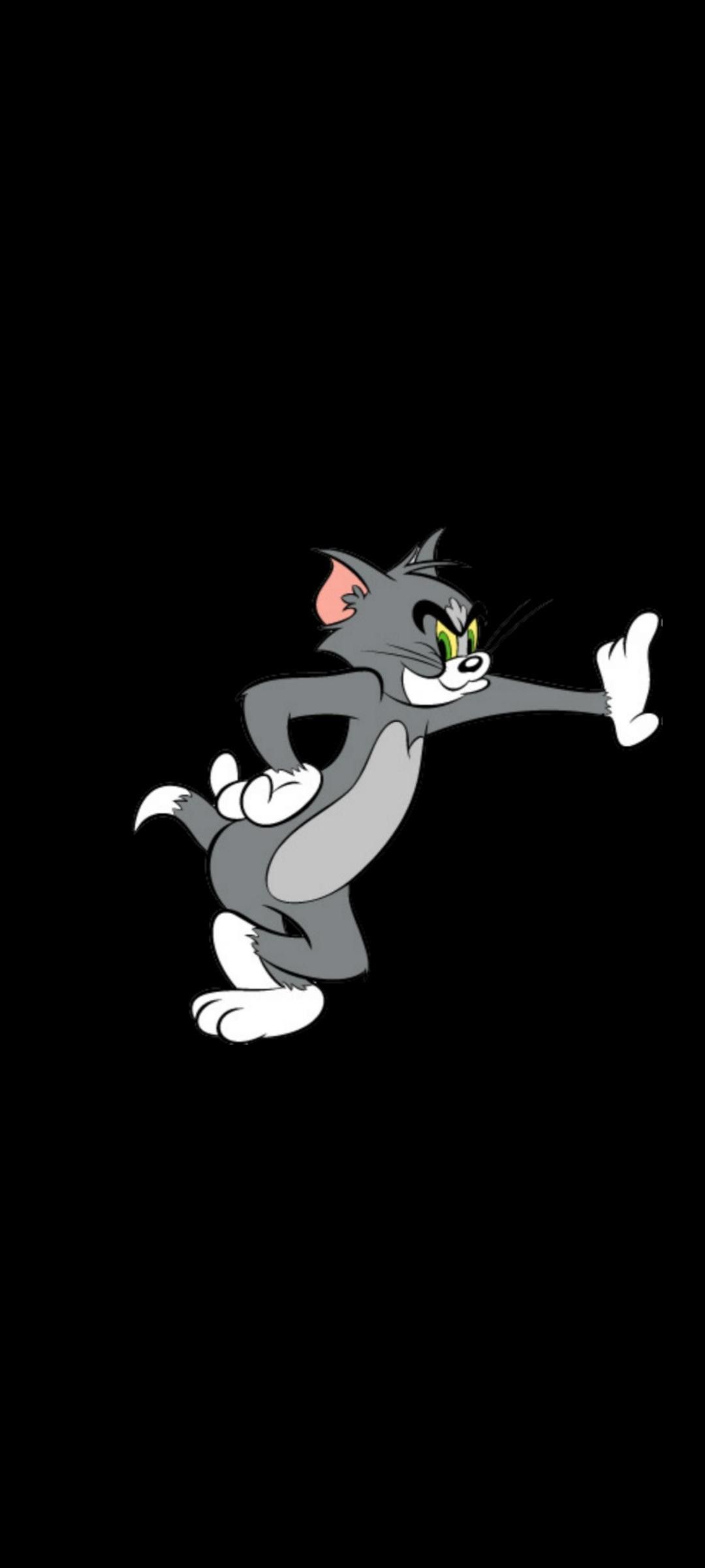 🔥 Free Download Tom And Jerry Hd Wallpaper Cartoon Cartoons by @lisan21 ...