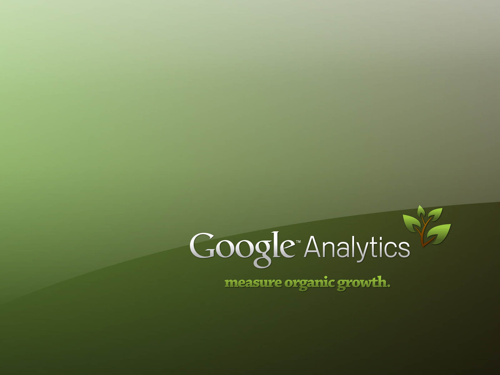 Free download Google Wallpapers Backgrounds PhotosImages and Pictures ...