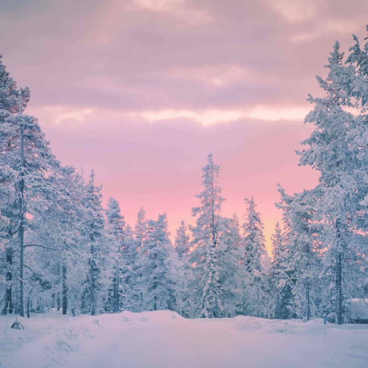 🔥 [50+] Winter Aesthetic Wallpapers | WallpaperSafari