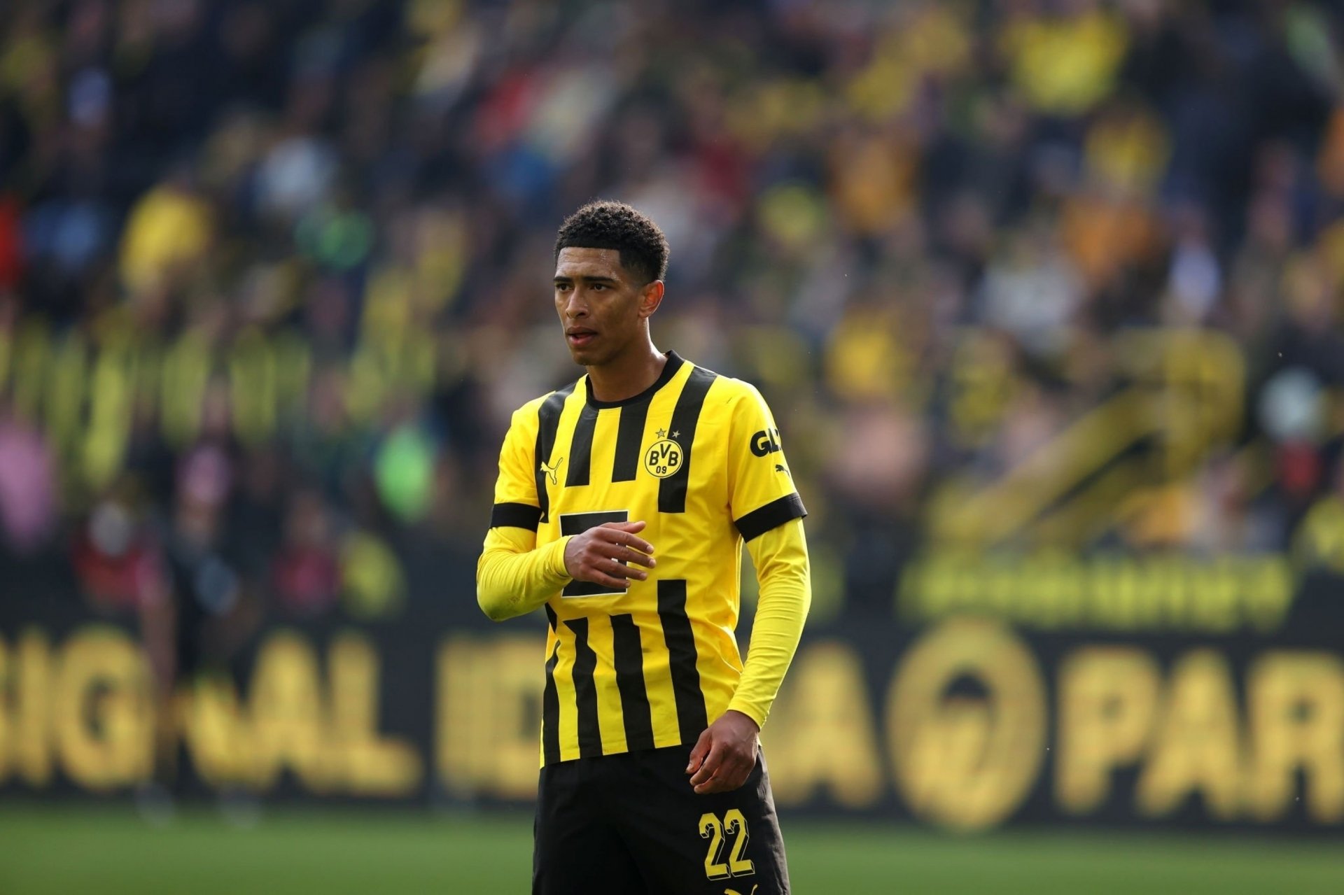 🔥 [60+] Jude Bellingham HD Wallpapers | WallpaperSafari