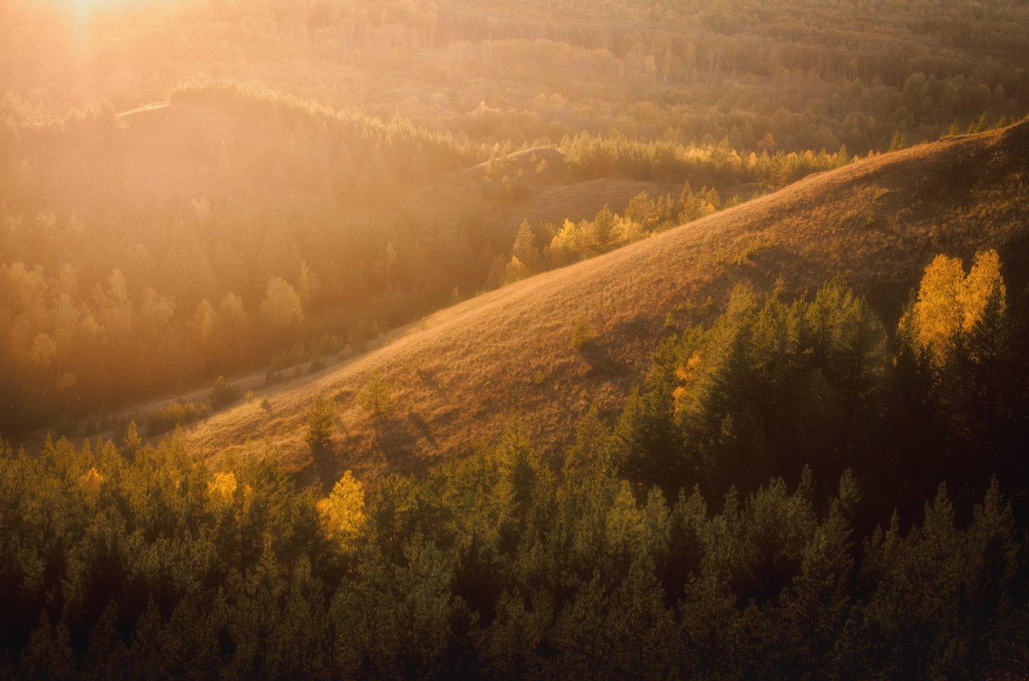 🔥 [40+] Brown Landscape Wallpapers | WallpaperSafari