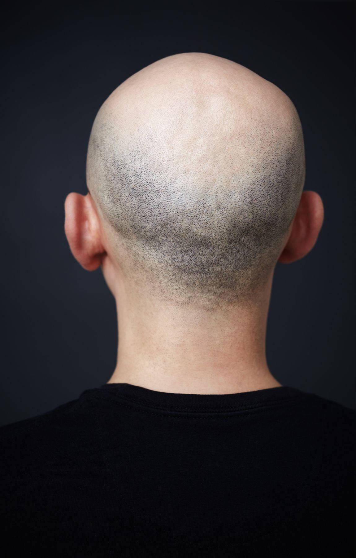 🔥 Free Download Bald Man Wearing A Black Shirt Wallpaper by ...