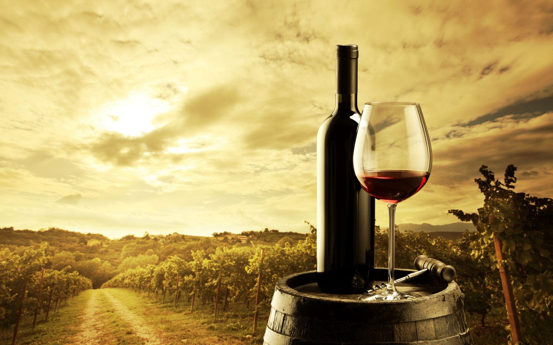 🔥 Free Download Wine Wallpaper Top Background by @wendyr62 ...