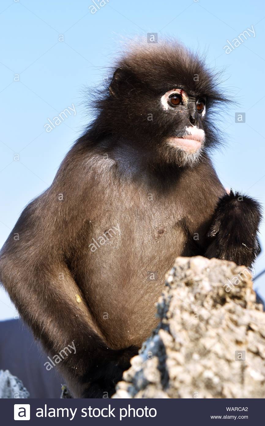 [34+] Dusky Background on WallpaperSafari