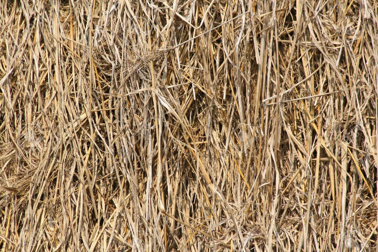 [35+] Haystack Background | WallpaperSafari