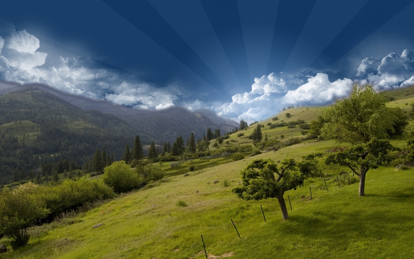Free Download Widescreen Resolutions 1280 X 800 1440 X 900 1680 X 1050 Free Download Widescreen Resolutions 1280 X 800 1440 X 900 1680 X 1050
