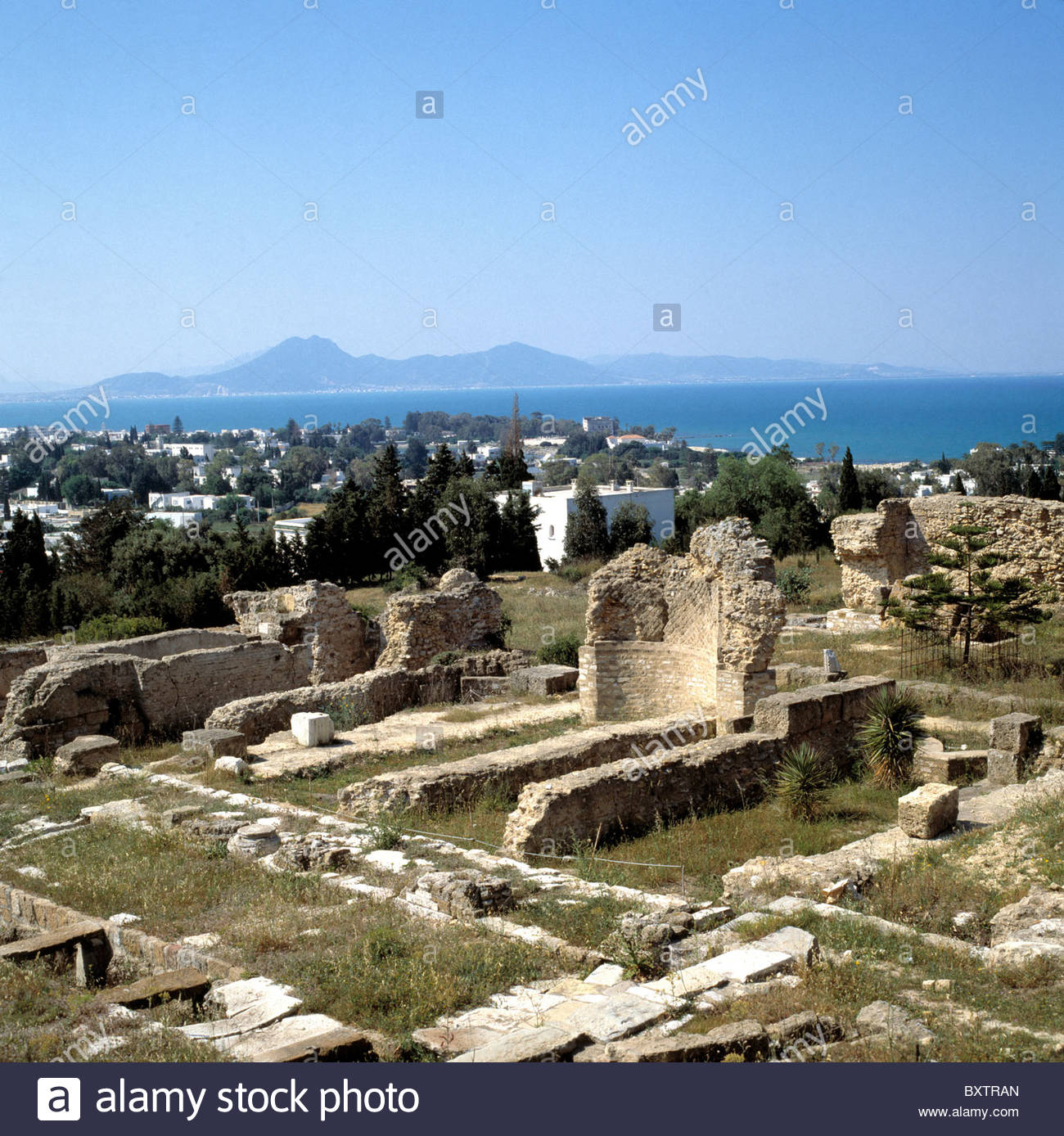 [39+] Carthage Background | WallpaperSafari