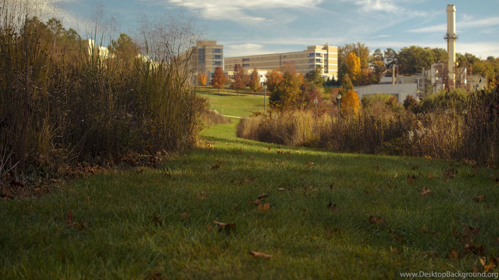 🔥 Free Download Share Your Jmu Wallpaper Request Desktop Background by ...