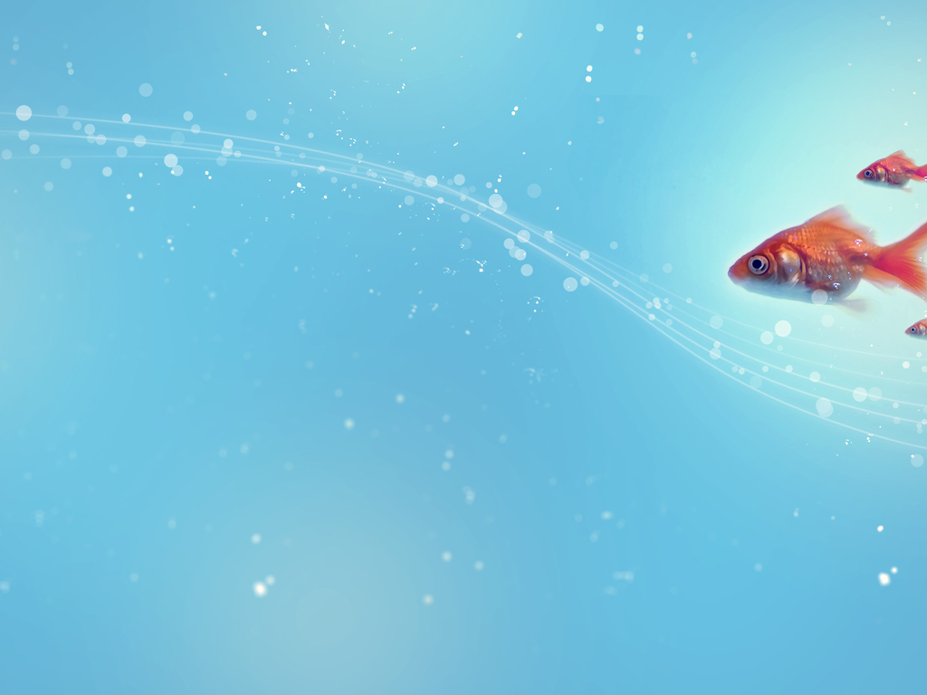 🔥 [30+] Fishes Wallpapers | WallpaperSafari