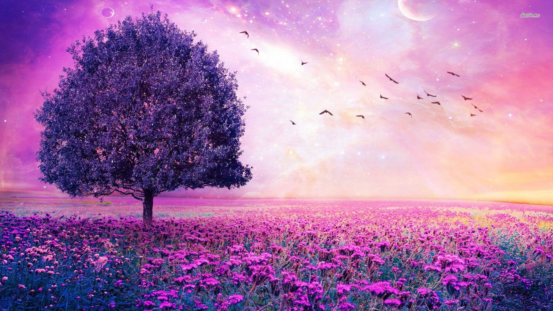 🔥 Free Download Purple Tree Wallpaper by @eabbott | WallpaperSafari