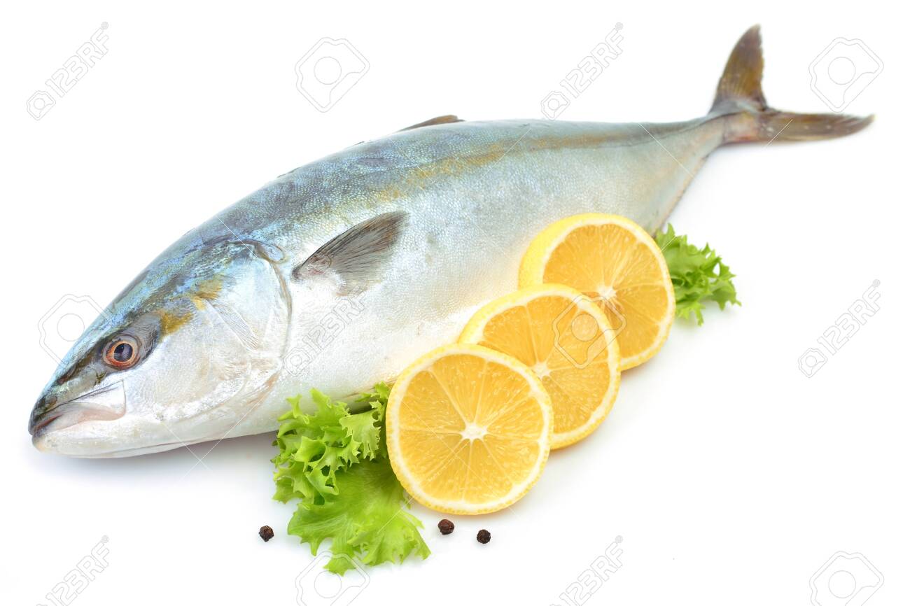 🔥 [32+] Amberjack Background | WallpaperSafari