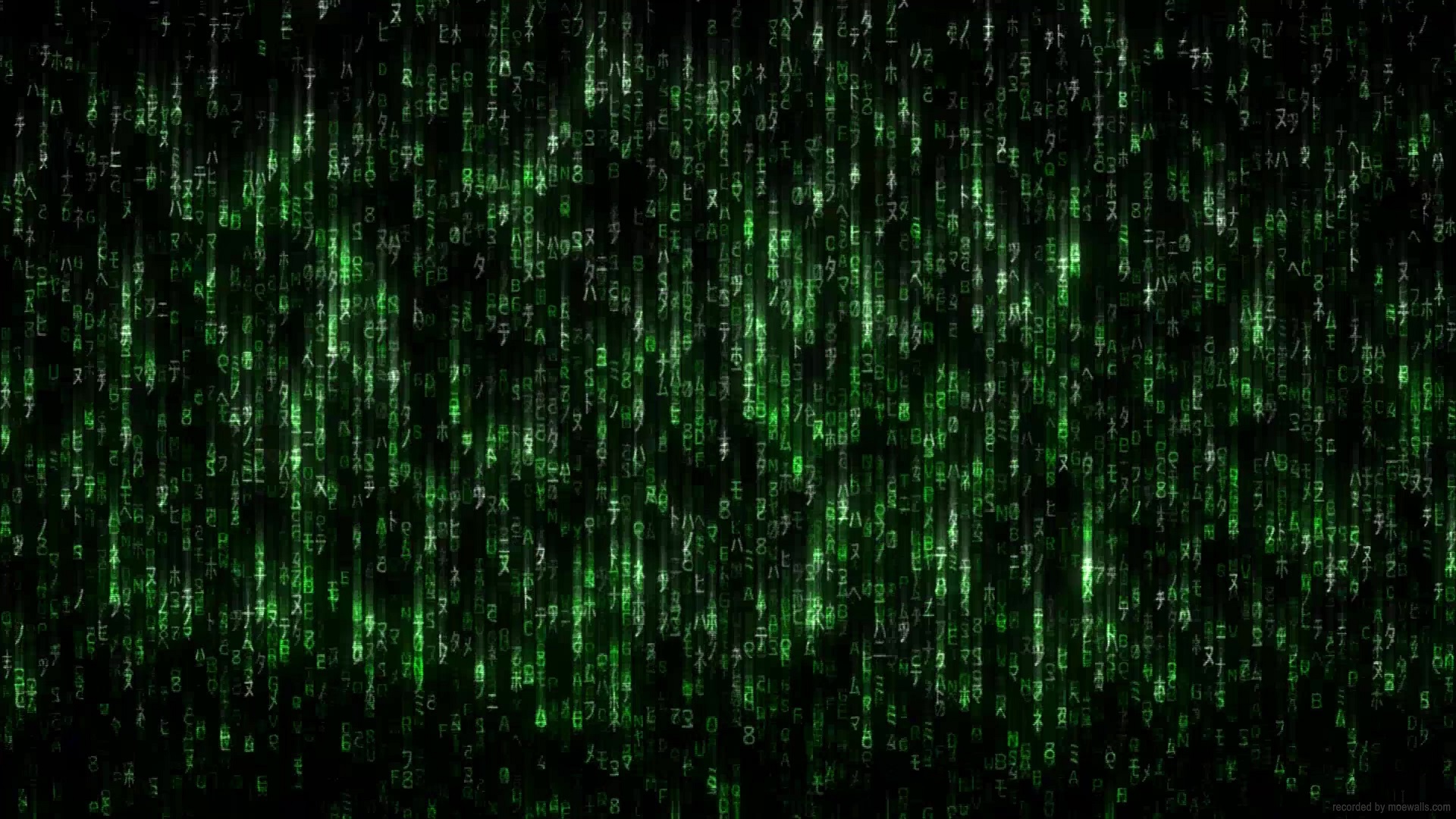 🔥 Free Download Matrix Digital Rain Thumb Wallpaper by @mknight ...