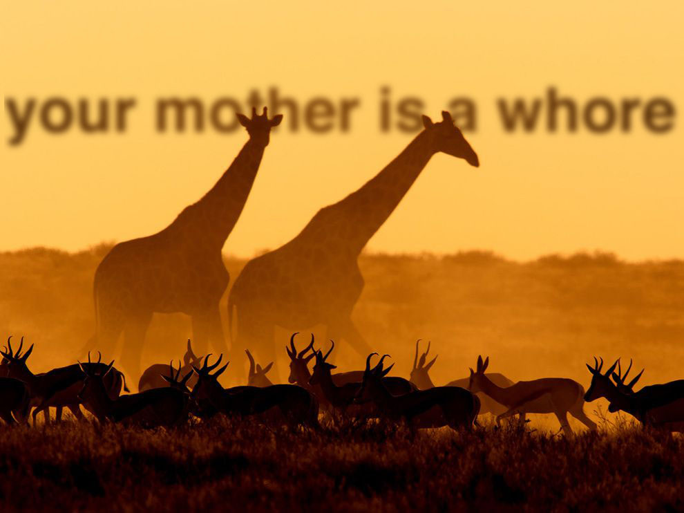 🔥 [50+] Obnoxious Wallpapers | WallpaperSafari