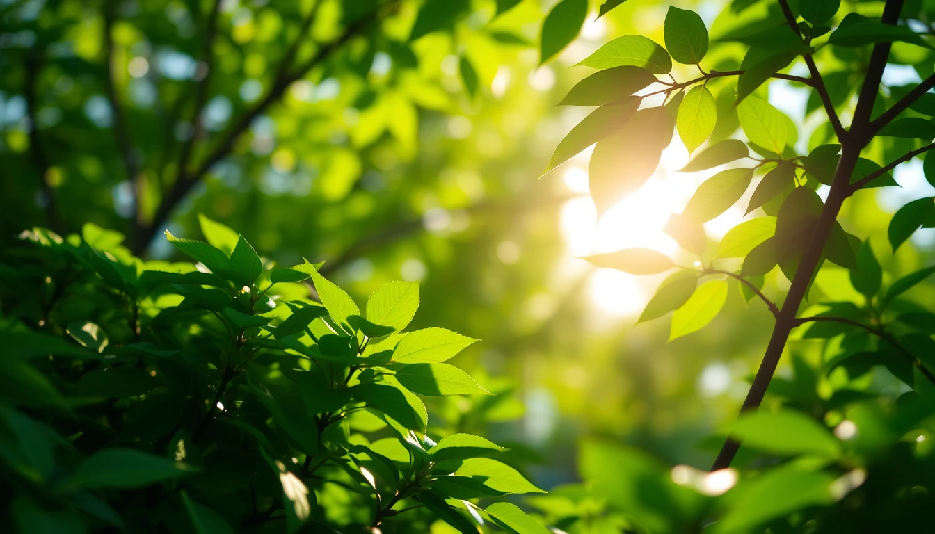 🔥 Free Download Digital Green Wallpaper by @amandaparsons | WallpaperSafari