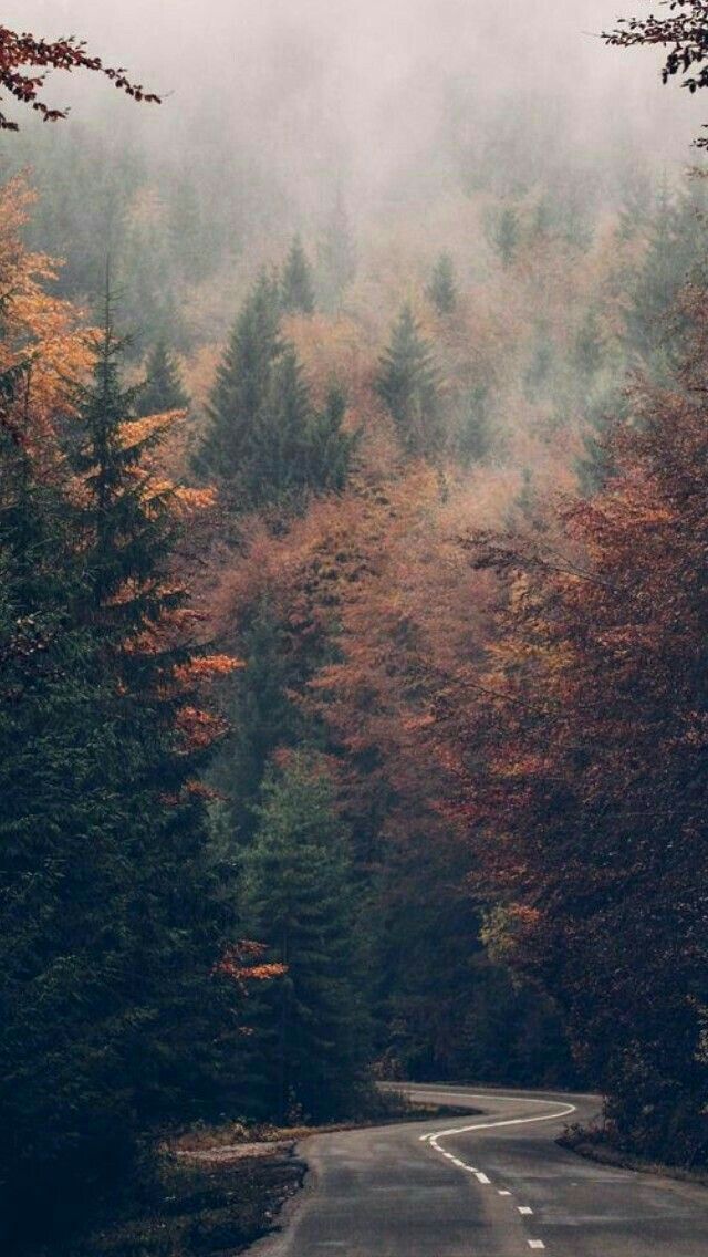 🔥 Free Download Pacific Northwest Fall Wallpaper by @desireem53 ...