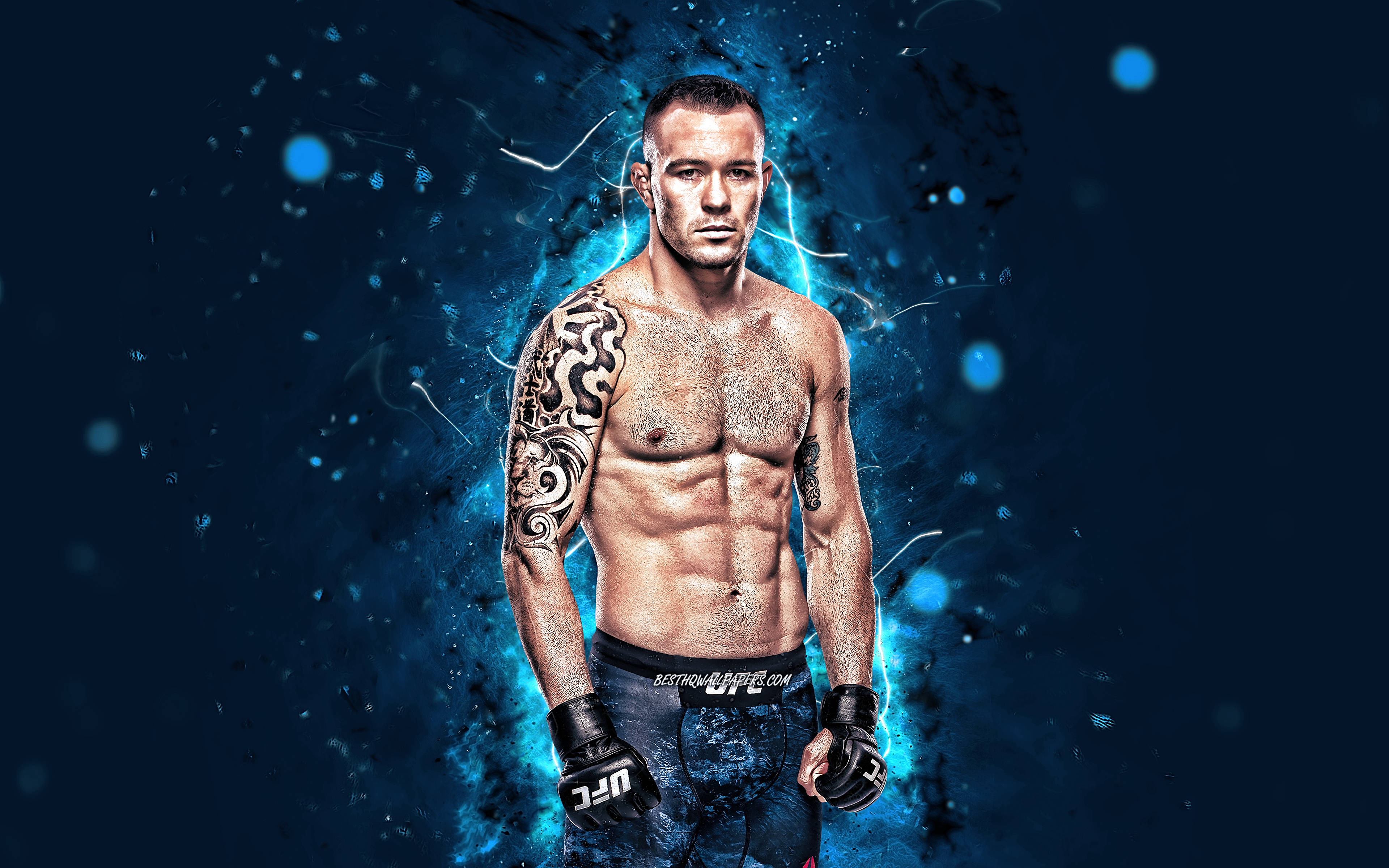 🔥 [60+] UFC 4k Wallpapers | WallpaperSafari