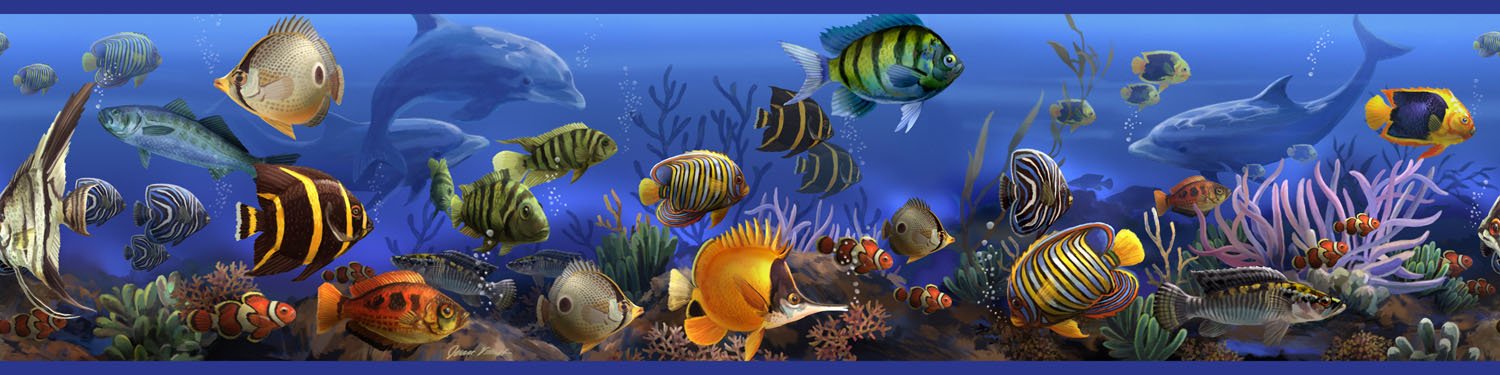 🔥 Free download Tropical Fish Dolphins Peel and Stick Wallpaper Border ...