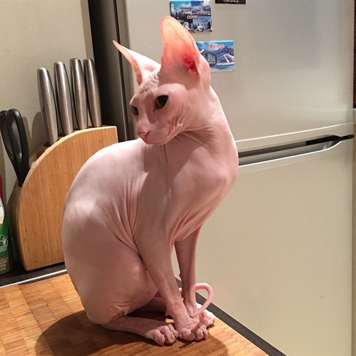 🔥 [30+] Smirk Wallpapers | WallpaperSafari