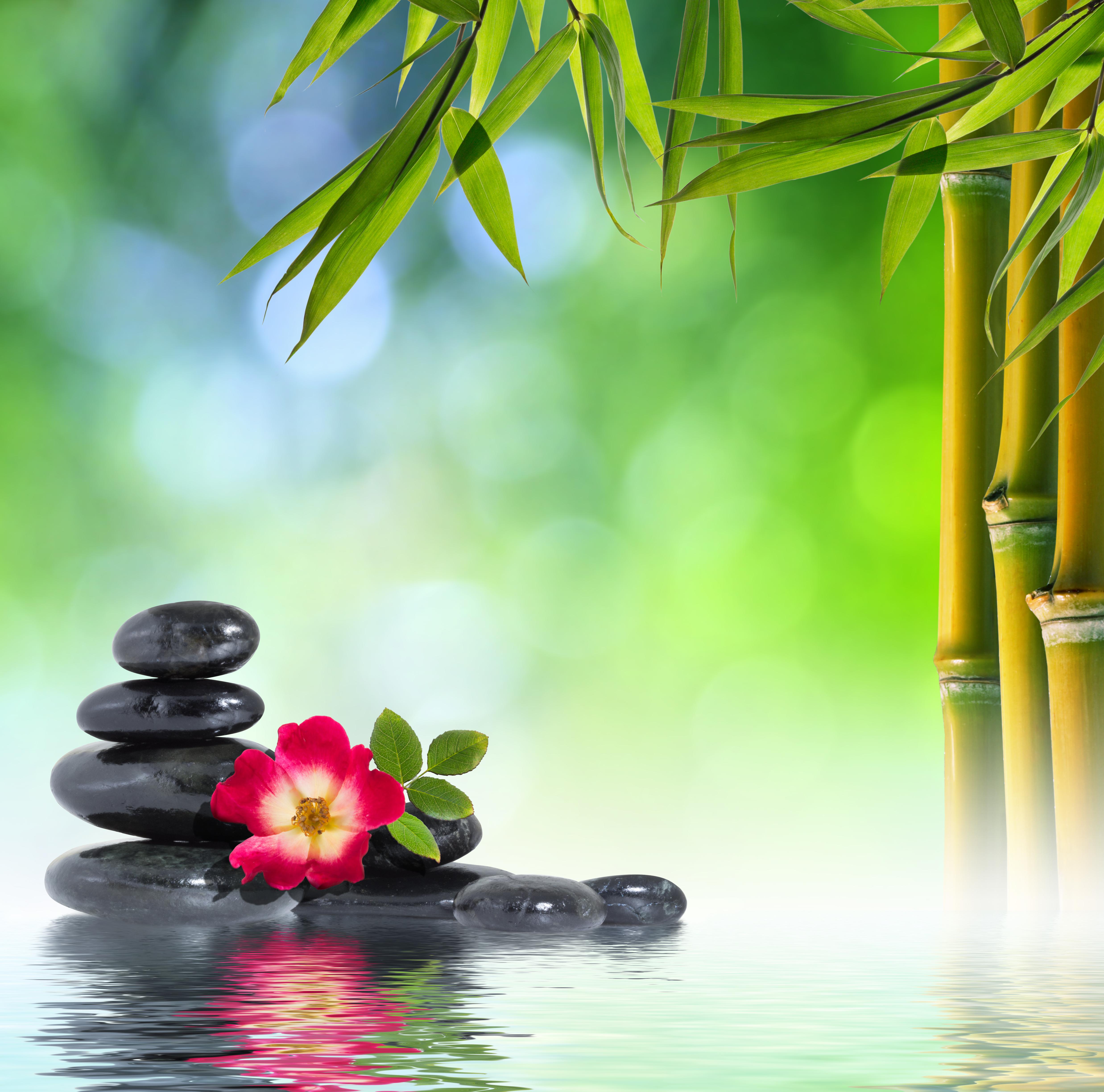 50 Most Relaxing Wallpapers WallpaperSafari 50 Most Relaxing Wallpapers WallpaperSafari