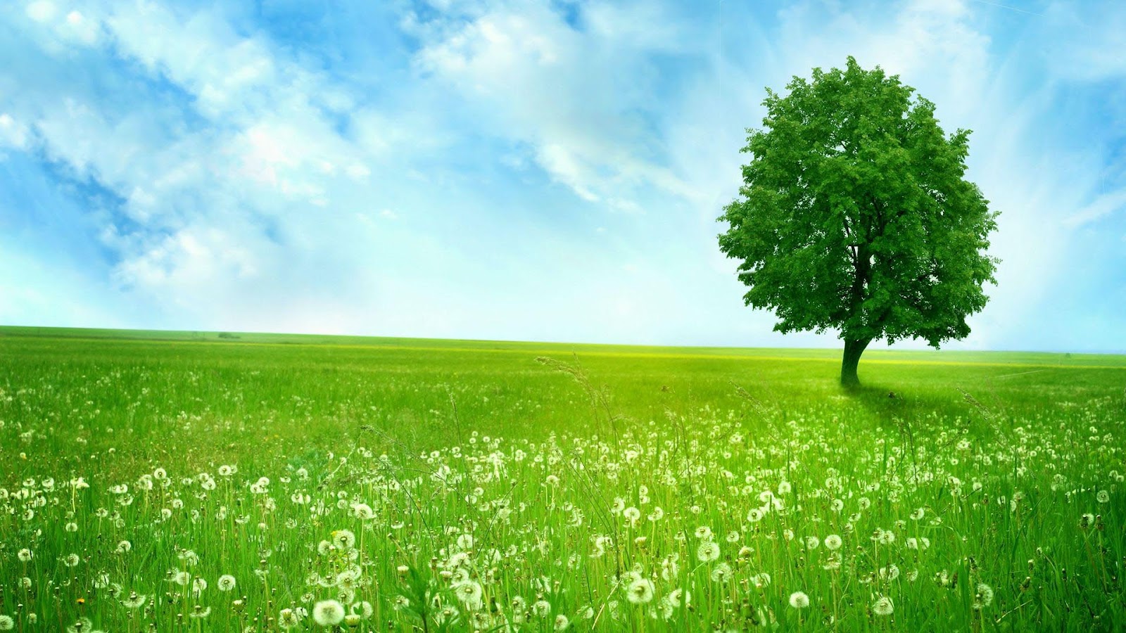 50 Best High Quality Wallpapers WallpaperSafari 50 Best High Quality Wallpapers WallpaperSafari