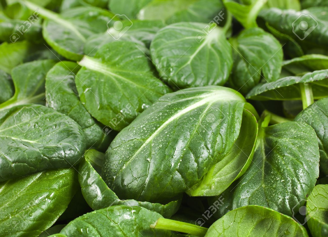 [35+] Spinach Backgrounds | WallpaperSafari