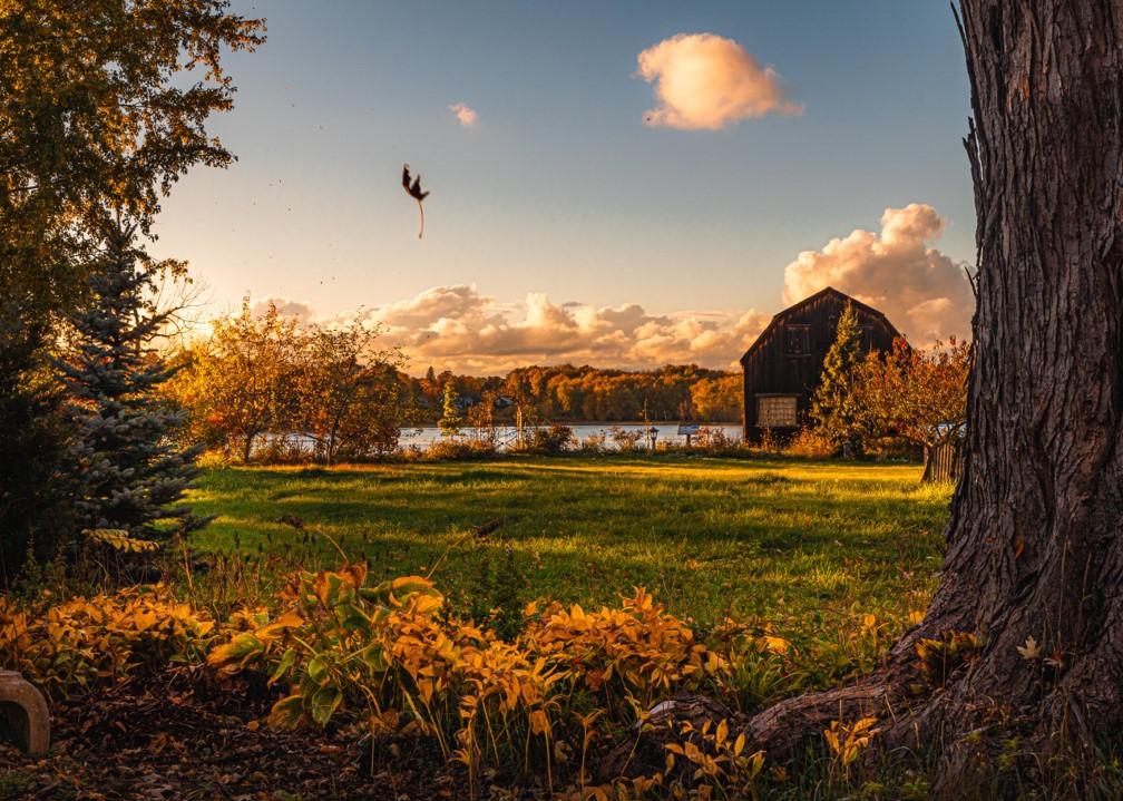 🔥 [40+] Brown Landscape Wallpapers | WallpaperSafari