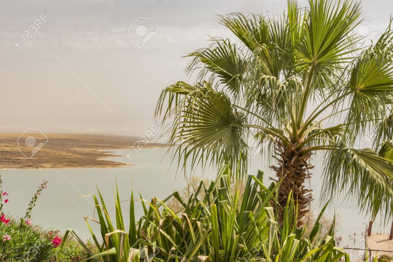 Free download Dead Sea and wilderness of Judea Moab mountains in the ...