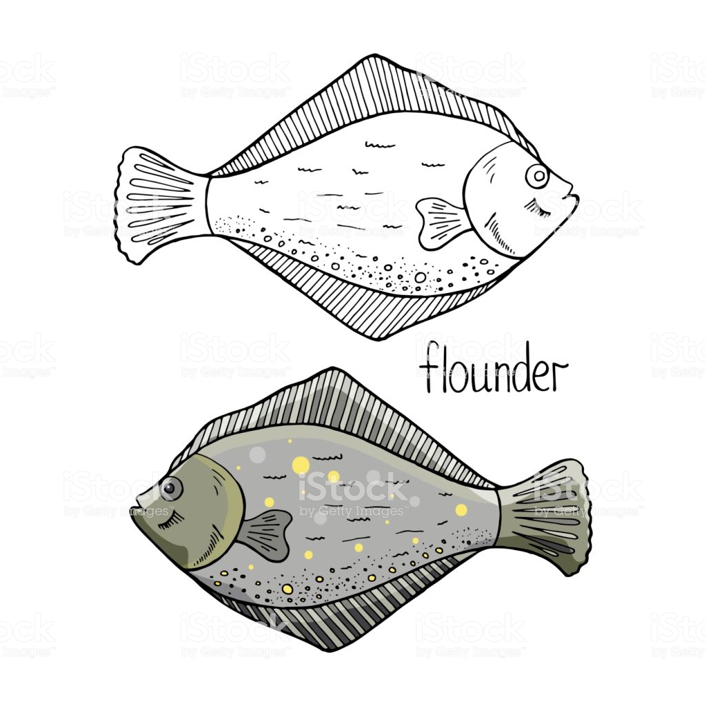 [40+] Flounder Backgrounds | WallpaperSafari