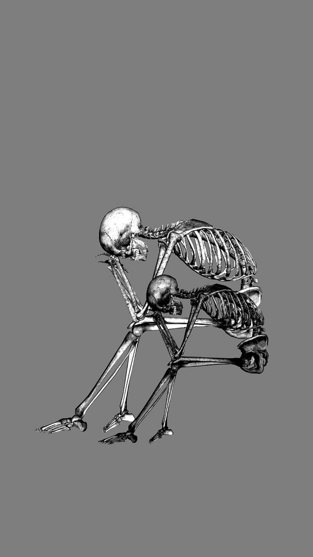 🔥 Free Download Skeleton Meme Wallpaper by @ldrake | WallpaperSafari