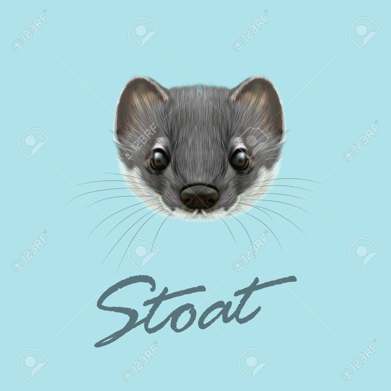 [51+] Stoat Background on WallpaperSafari