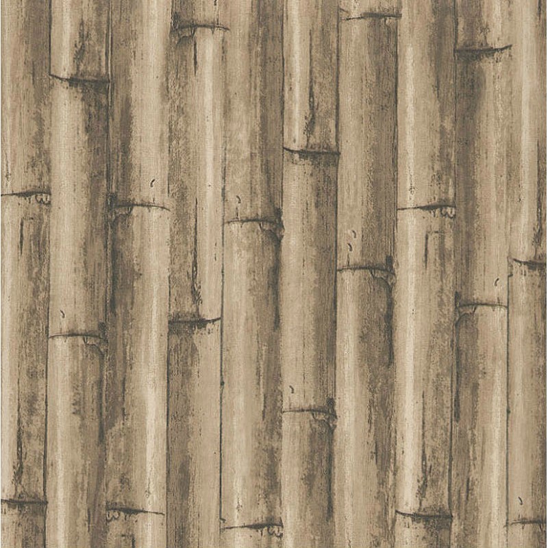 Sandra Buckley Wallpaper Collection on WallpaperSafari