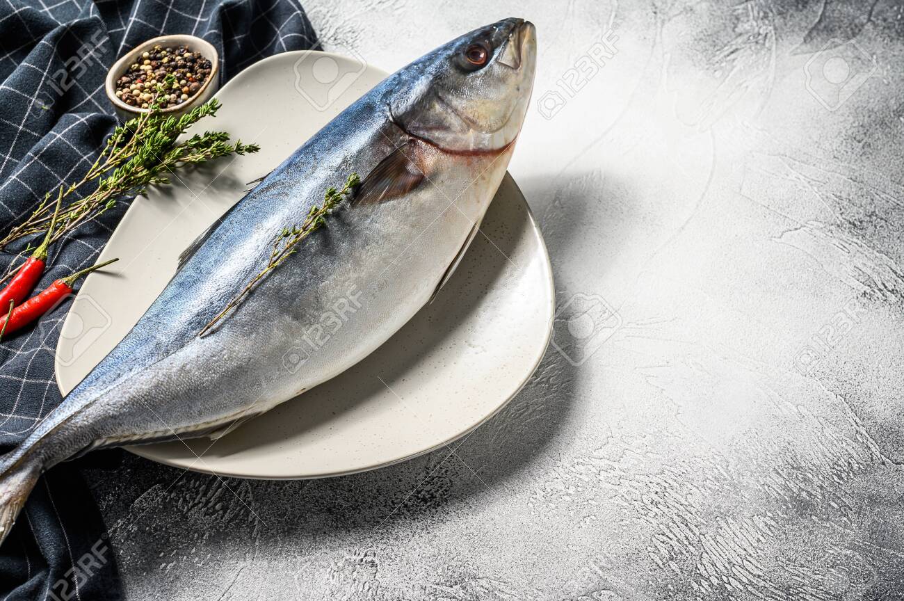 🔥 [32+] Amberjack Background | WallpaperSafari