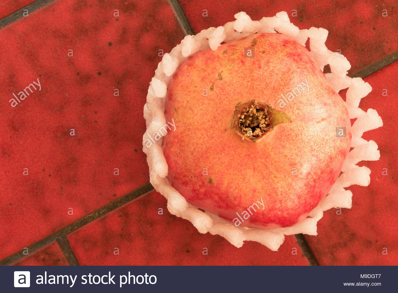 [44+] Frilly Background | WallpaperSafari