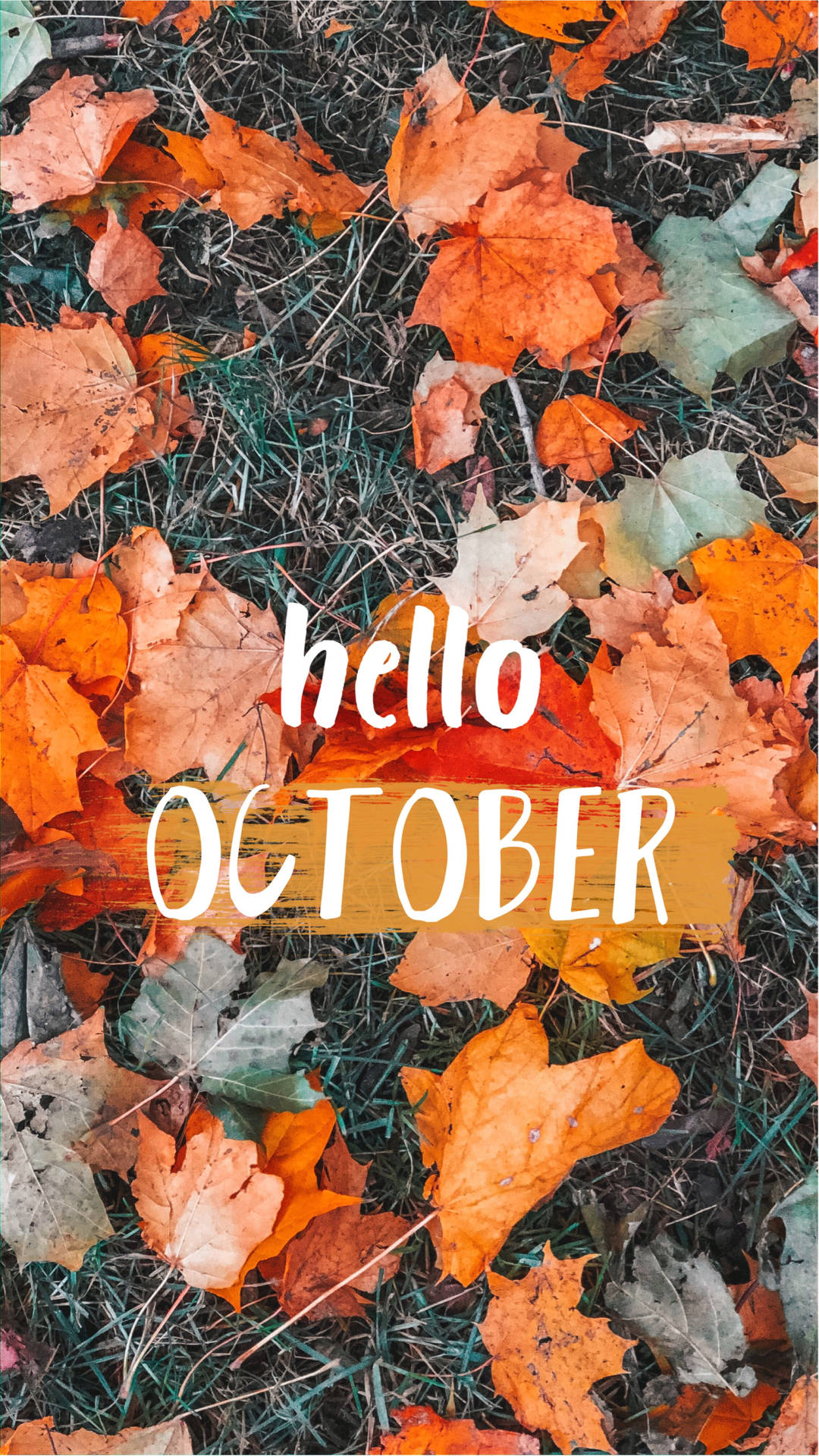 🔥 Free Download Flat Lay Dried Leaves Hello October Wallpaper by ...