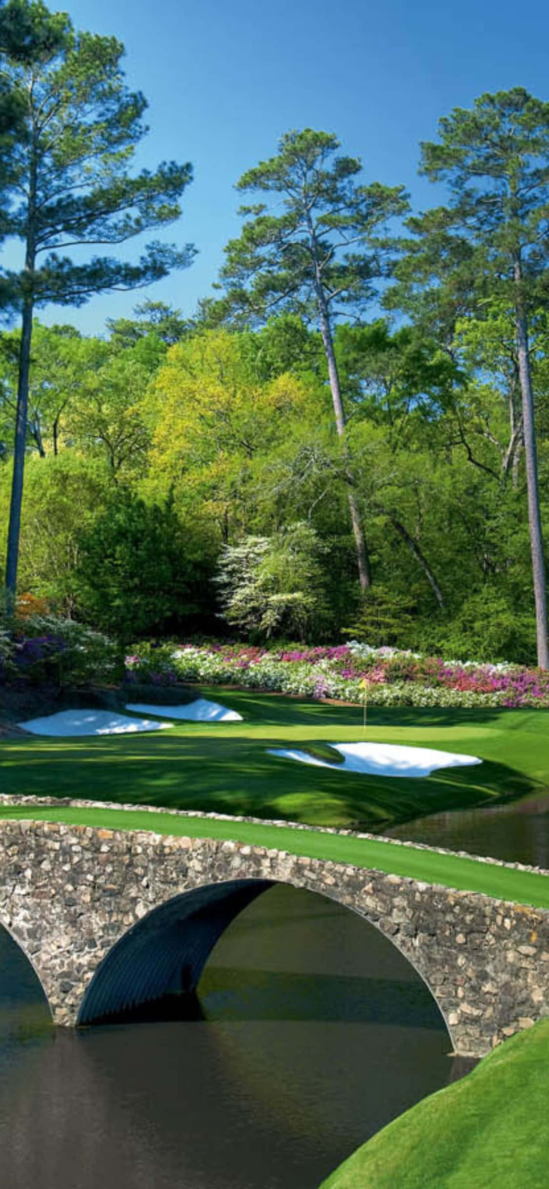 🔥 [70+] Golf Iphone Wallpapers | WallpaperSafari