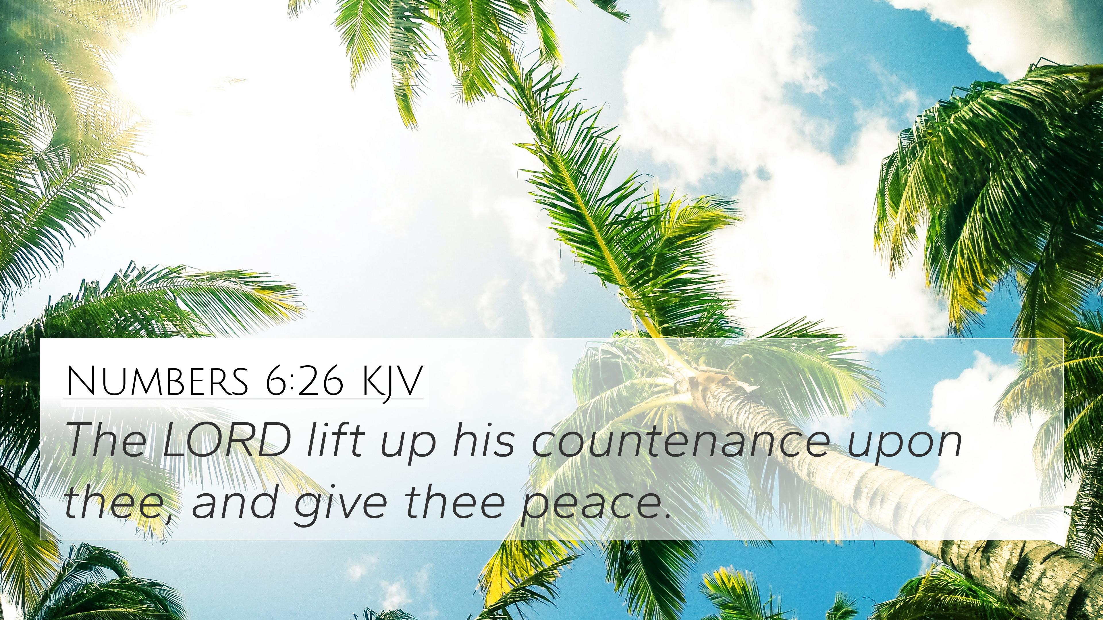  Download Numbers Kjv 4k Wallpaper The Lord Lift Up His Countenance By