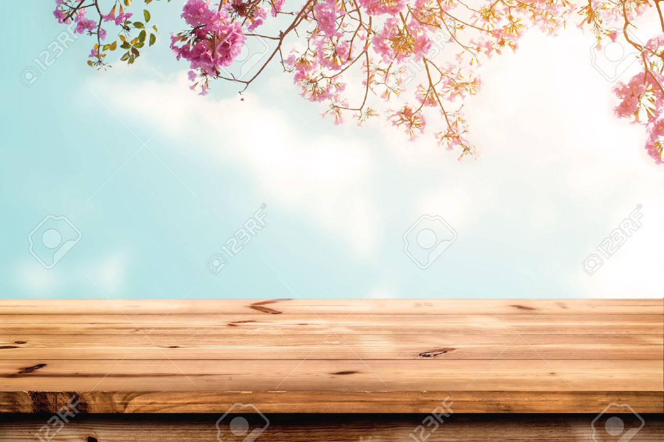 [40+] Ready Background | WallpaperSafari