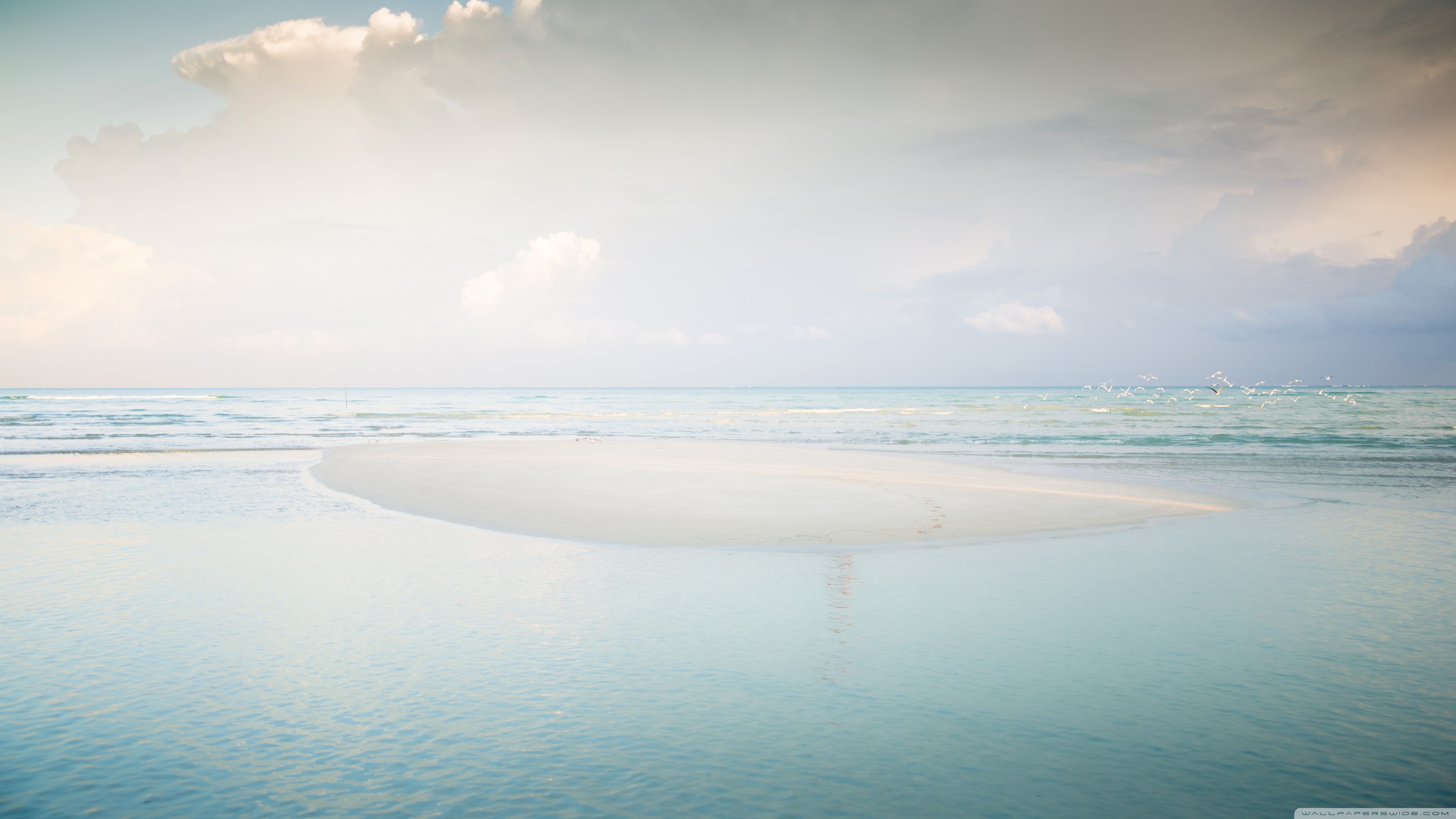 🔥 Free Download Sandbar Ultra Hd Desktop Background Wallpaper For 4k ...