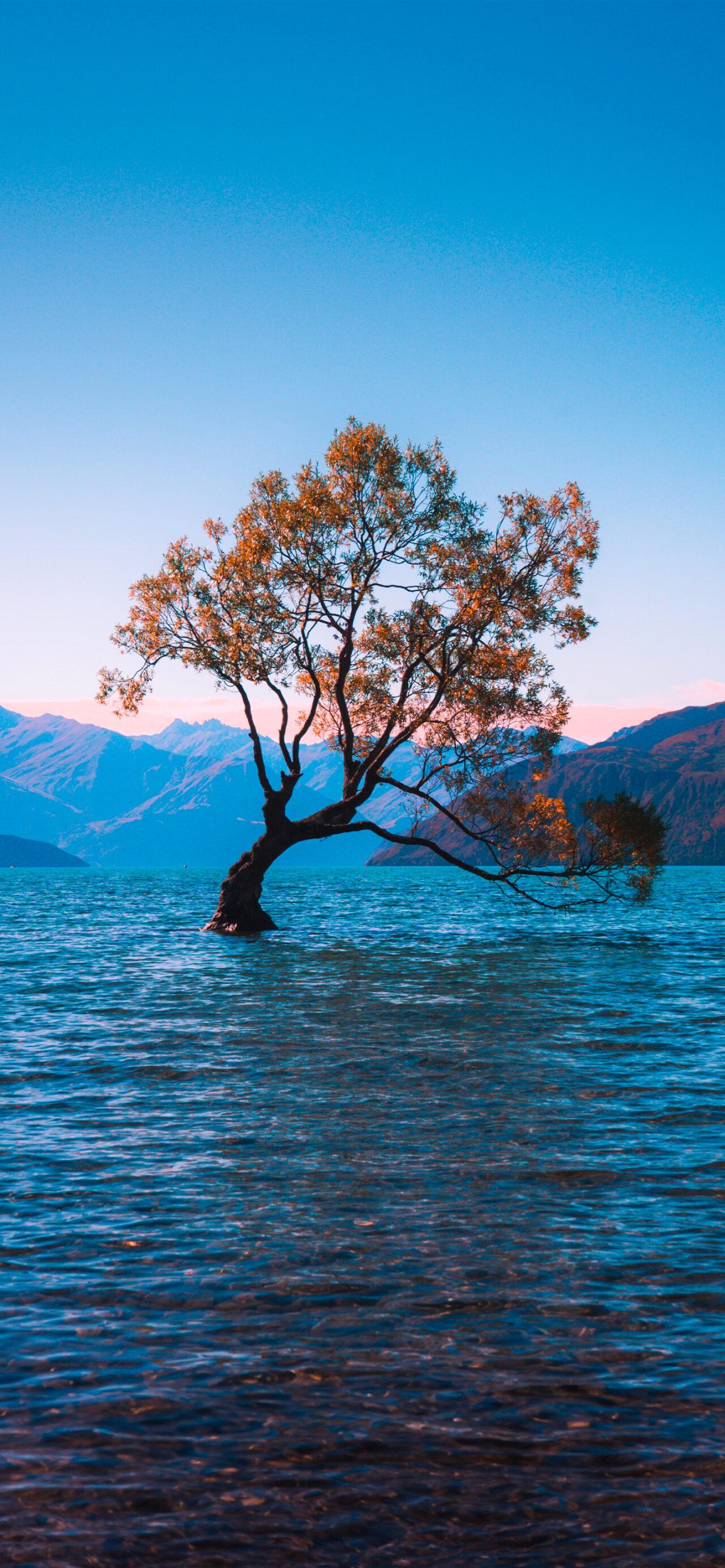 🔥 Free Download Lake Wanaka New Zealand Depth Effect Wallpaper Central by @ahill42 | WallpaperSafari