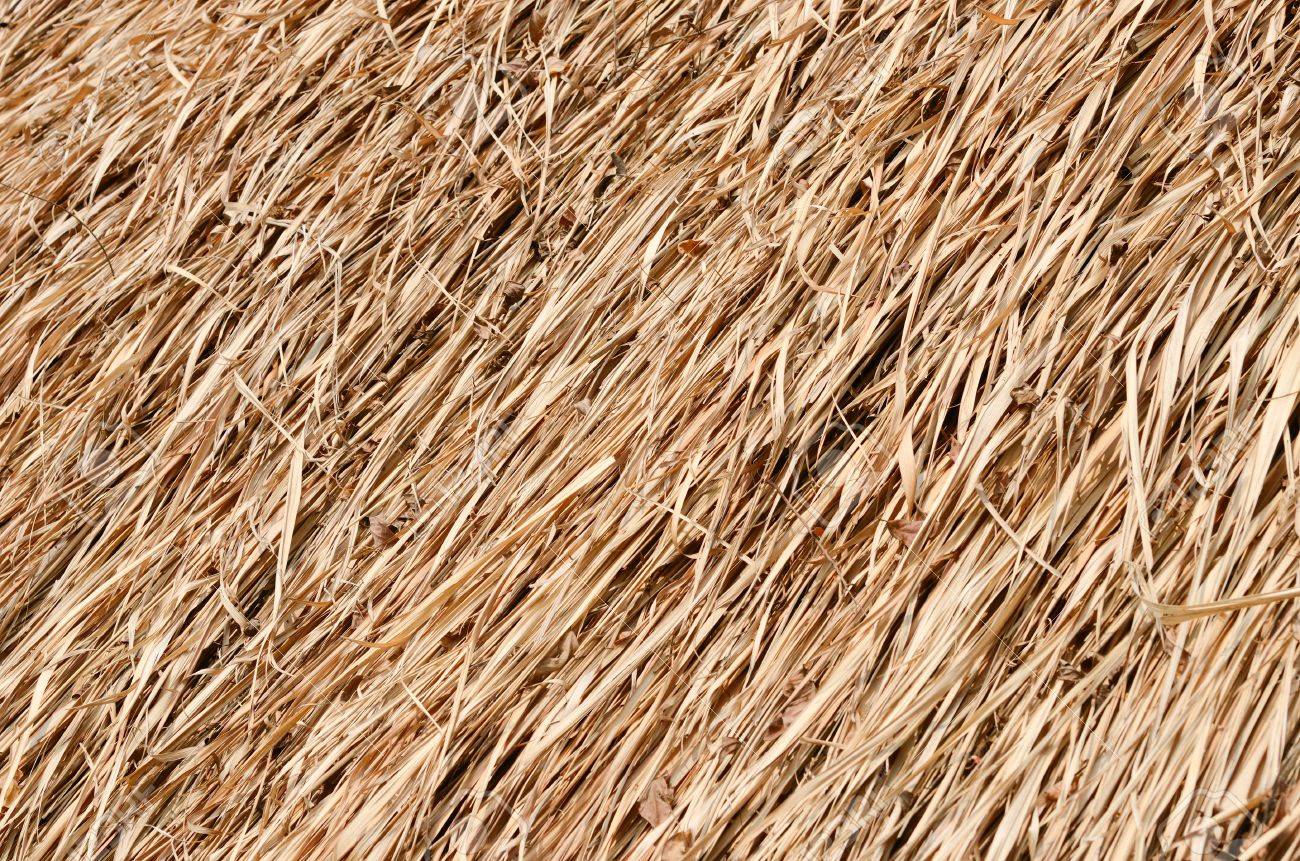 🔥 [52+] Thatch Background | WallpaperSafari