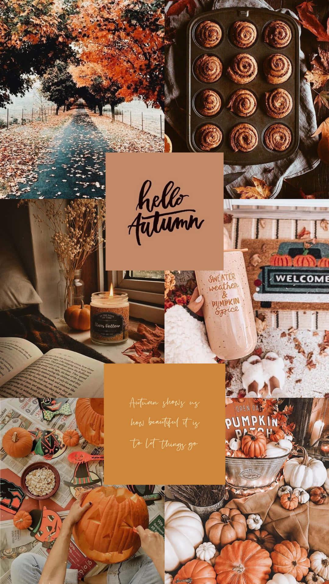 🔥 [40+] Thanksgiving Collage Wallpapers | WallpaperSafari