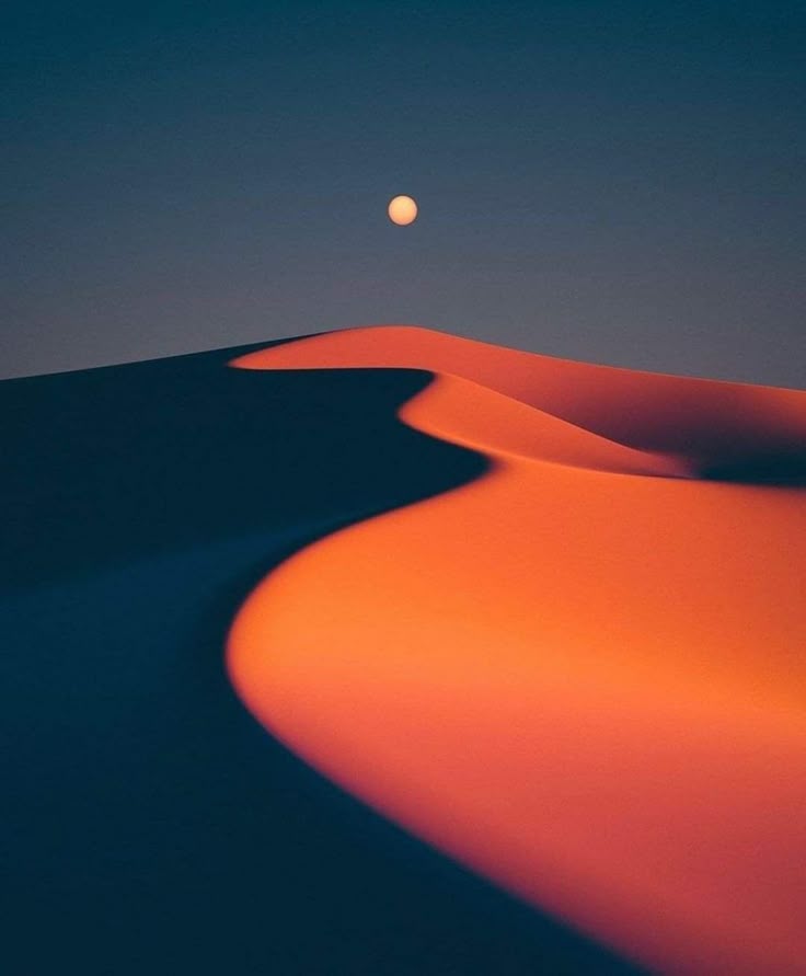 🔥 Free Download Retro Desert Aesthetic Wallpaper by @garrettc92 | WallpaperSafari