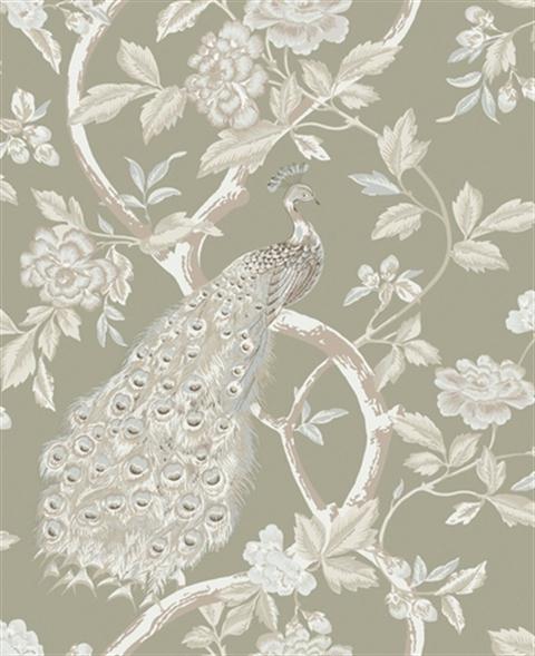 🔥 [50+] Peacock Toile Wallpapers | WallpaperSafari