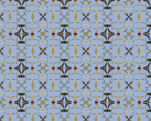 🔥 Free download Recent Photos The Commons Getty Collection Galleries ...