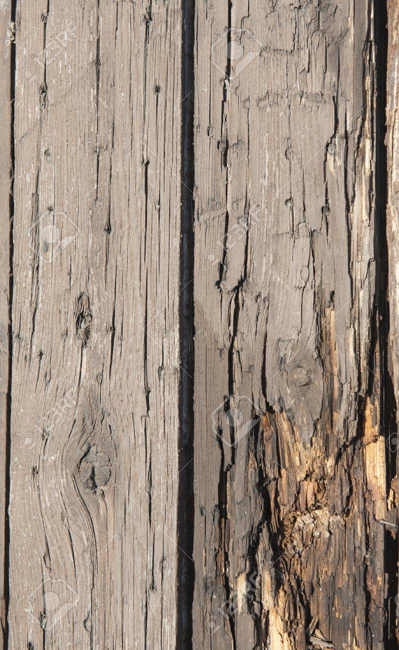 [28+] Rotting Wallpaper on WallpaperSafari