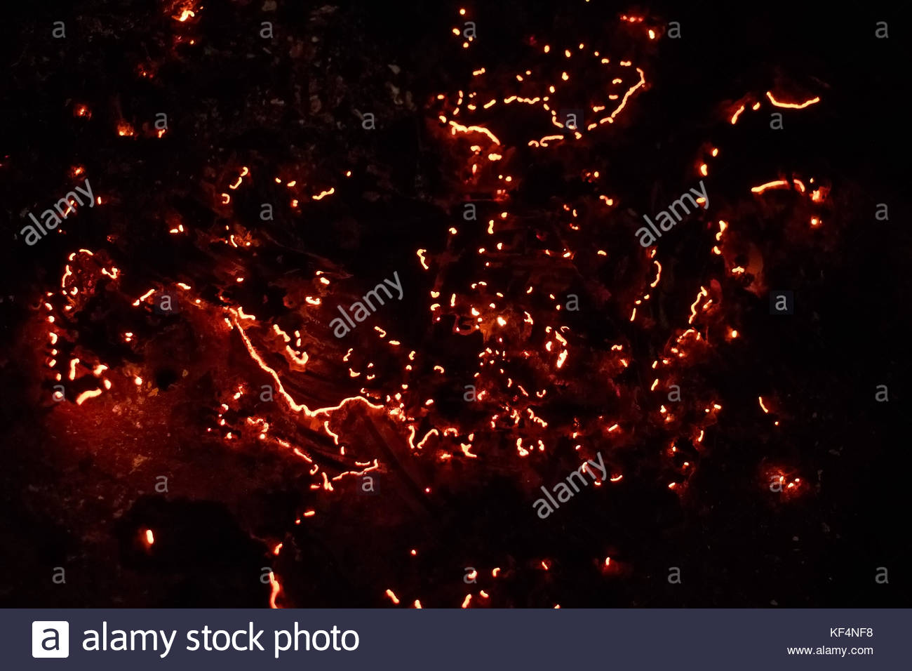 Free download Smoldering Paper Background Stock Photo Picture And ...