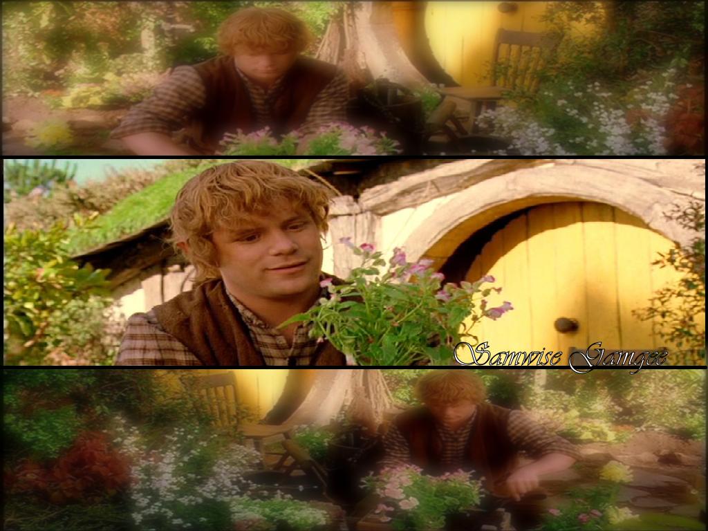 🔥 [33+] Samwise Wallpapers | WallpaperSafari