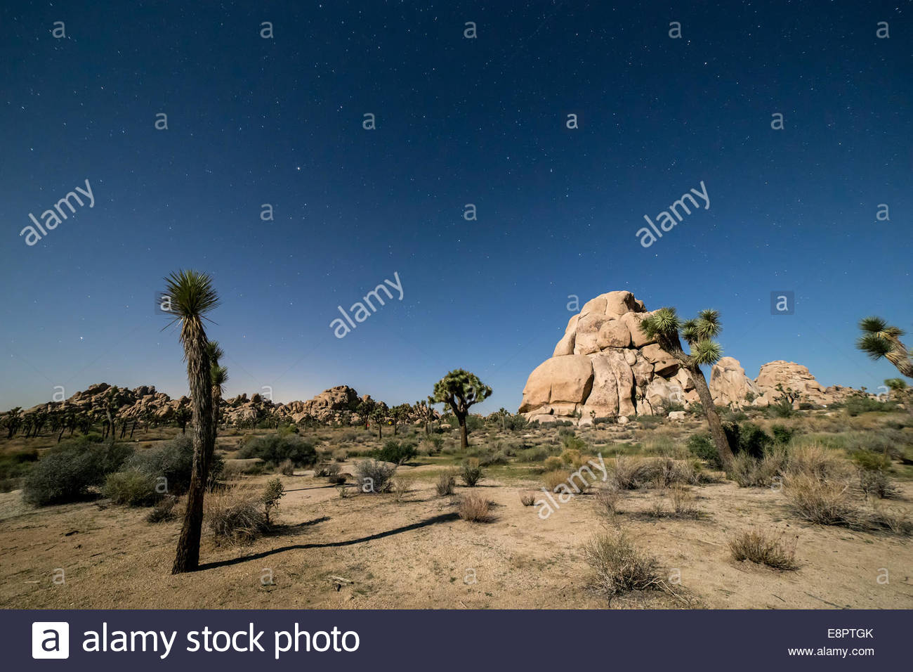 🔥 [28+] Joshua Background | WallpaperSafari