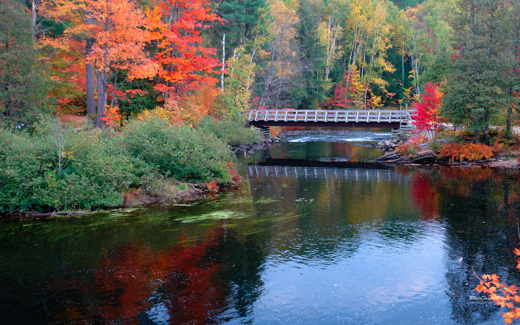 Free download In this page I posted some Fall wallpapers that you can ...